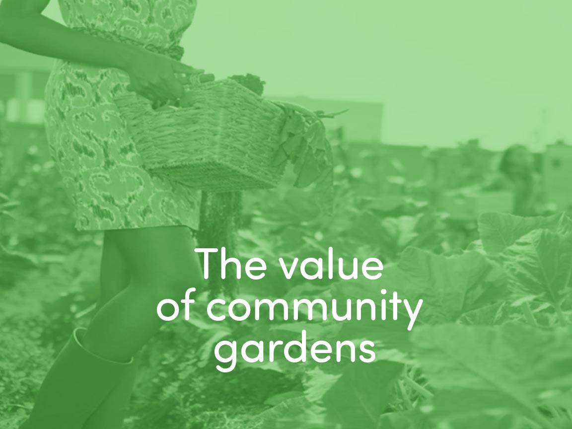 The Value of Community Gardens – SucSeed