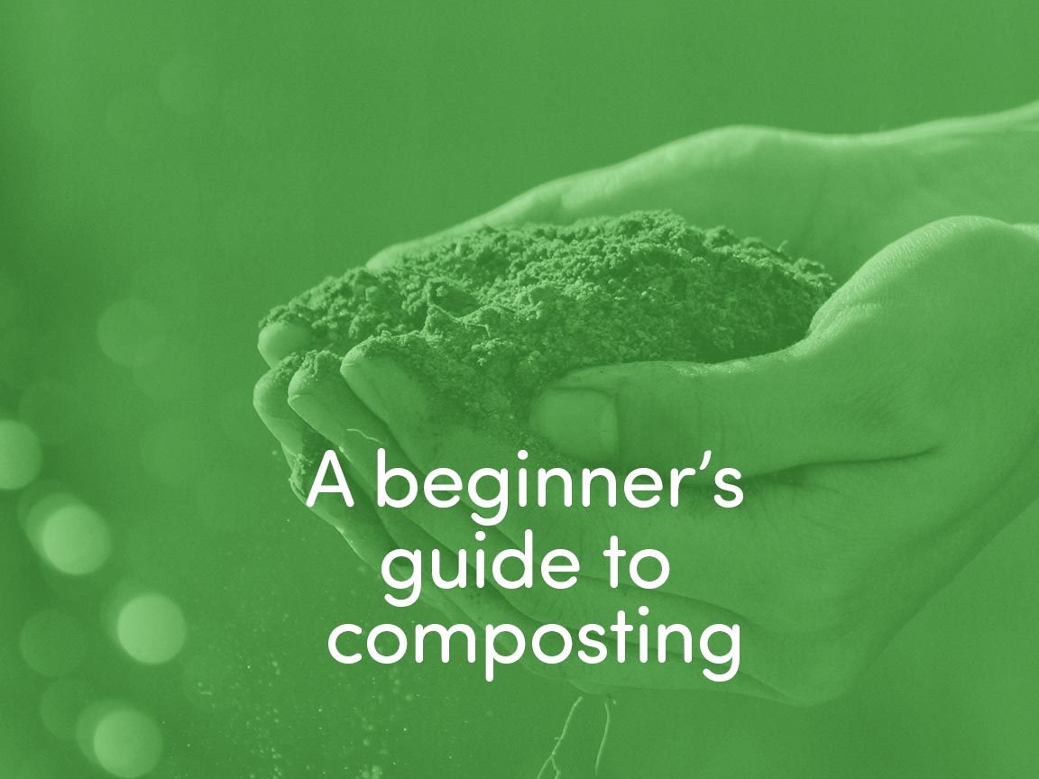A Beginner’s Guide to Composting – SucSeed